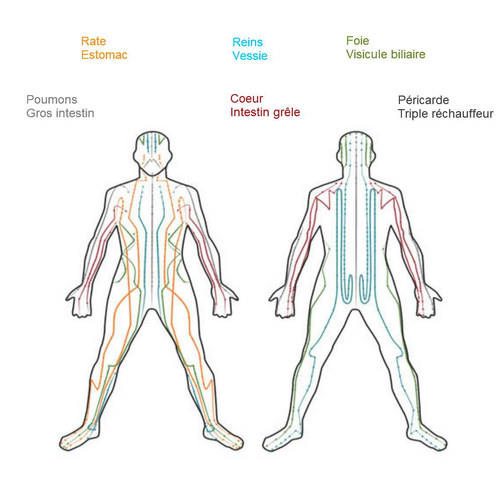medi-tao.com, les méridiens d'énergie, medi-tao chi kung